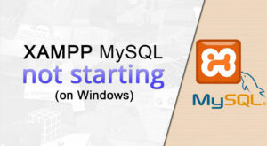 XAMPP MySQL not starting on Windows — Terresquall Blog